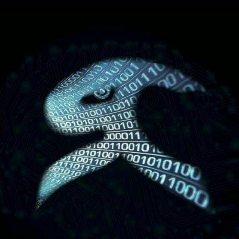 EKSTRAKURIKULER SPEKTAKULER SMANDA